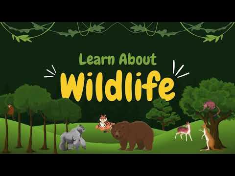 Wild Wonders: Exploring the Untamed Kingdom of Wildlife 🦁🌿 - YouTube