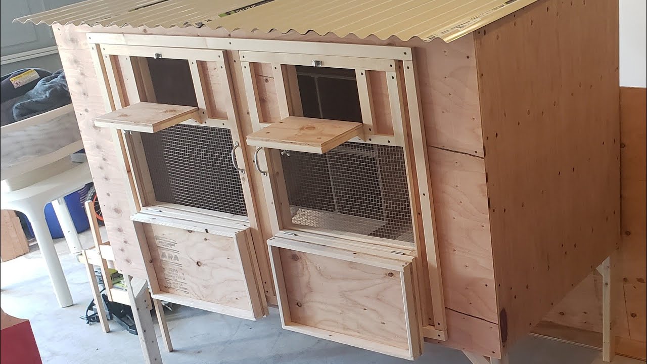 Roller Pigeon Loft Designs