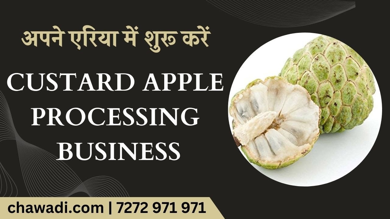 Custard Apple Processing Business | जानिए कैसे शुरू करें Custard Apple ...