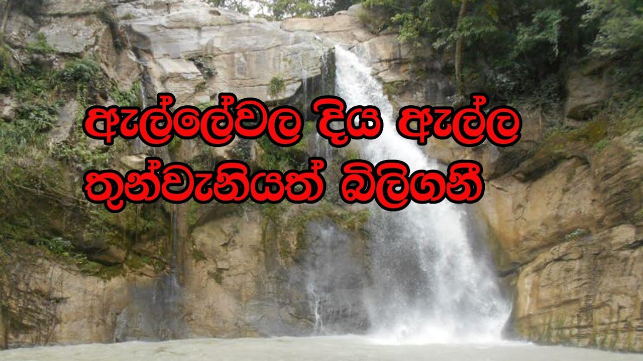 ඇල්ල වලේ සැඟවුණු තරුණයා ගමේ තරුණයින් සොයාගනී # ellawala ella # woter ...