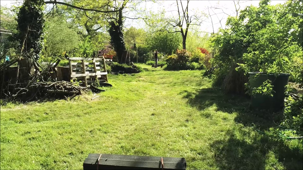 Damon Howatt hunter slow motion - YouTube