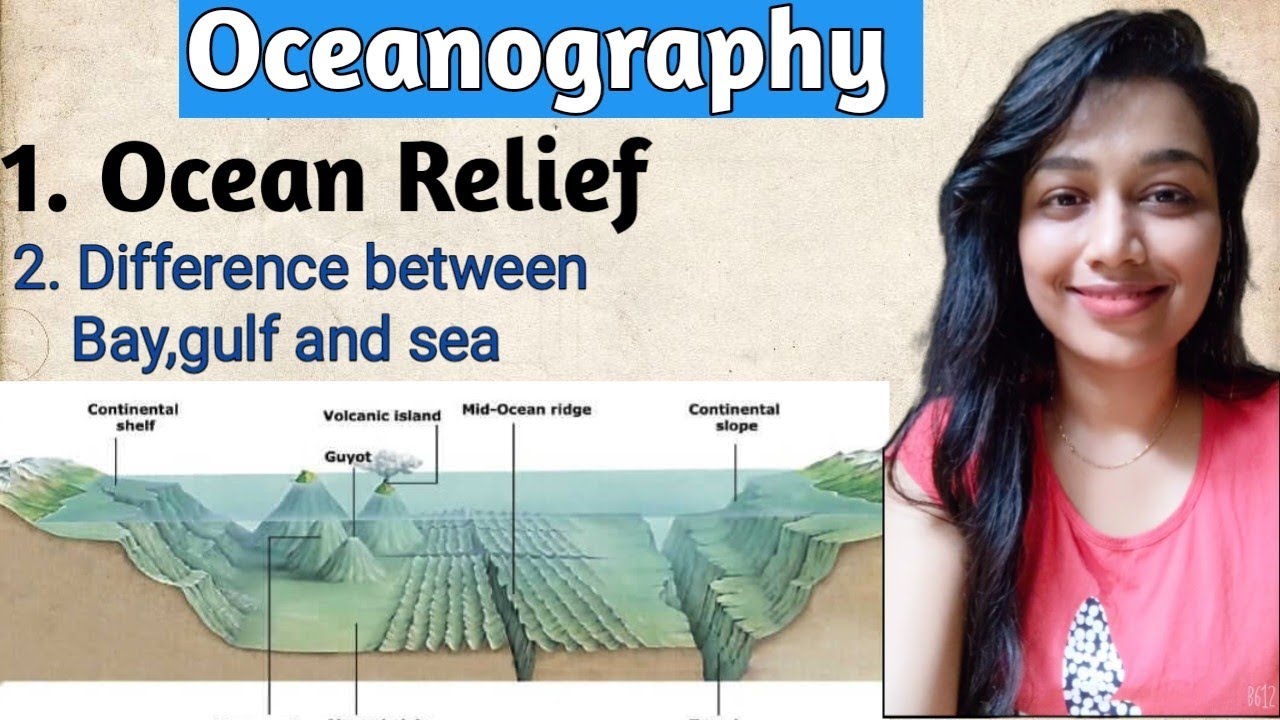 Relief of ocean floor | Difference between Bay,Gulf and Sea | Ocean ...