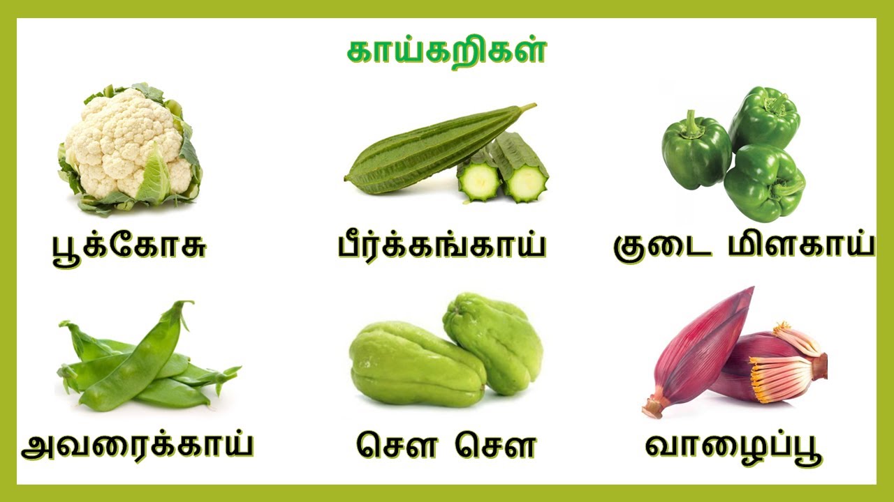 காய் காய்கறிகள் | Learn vegetables names in Tamil for kids and children ...