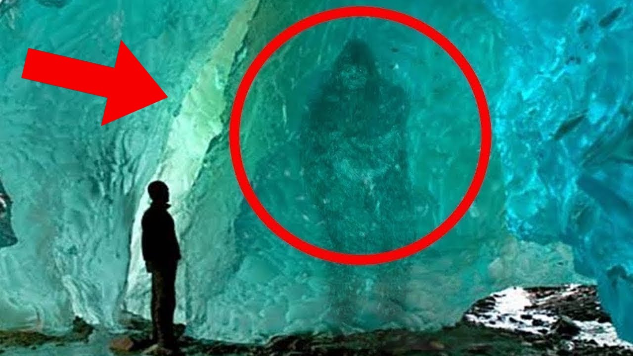 CELE MAI UIMITOARE ANIMALE PREISTORICE DESCOPERITE DE CATRE SAVANTI ...