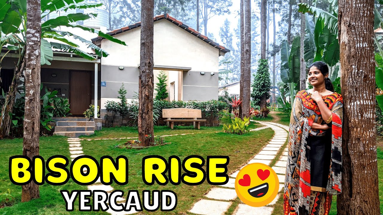 YERCAUD RESORT 😍 Bison Rise Resorts | Tamil Travel Vlog {50% Discount ...