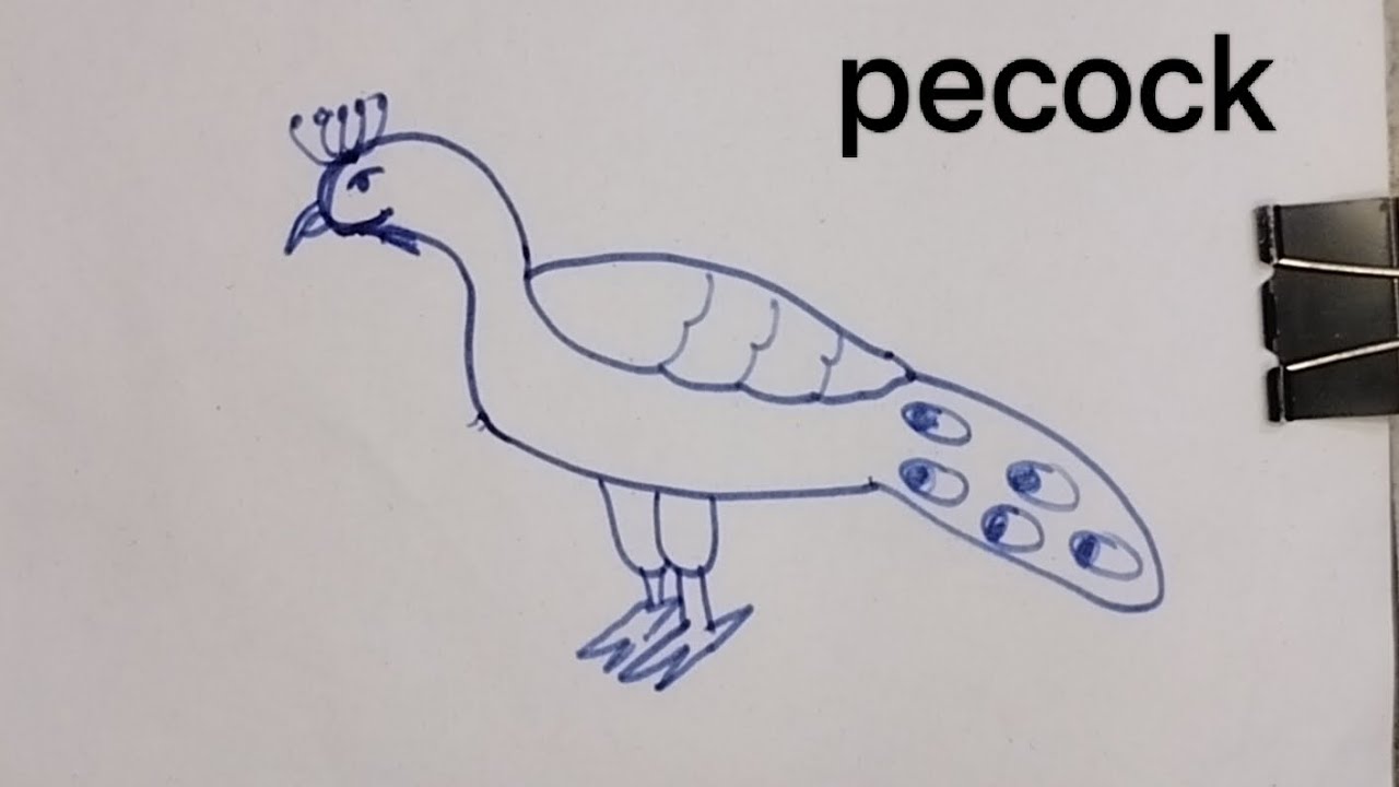 How to draw a pecock 🦚🦚||pecock drawing||very easy||art video - YouTube