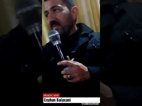 Şeir 2019