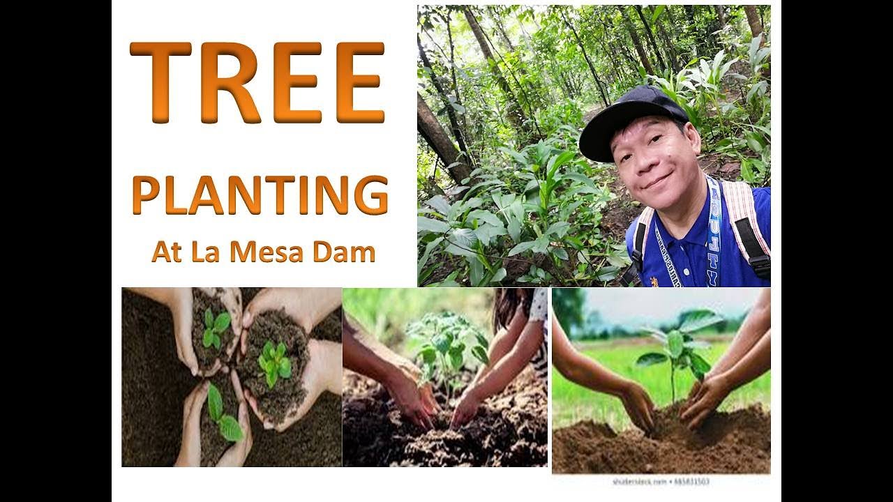Tree Planting at La Mesa Eco Park 2019, Quezon City - YouTube