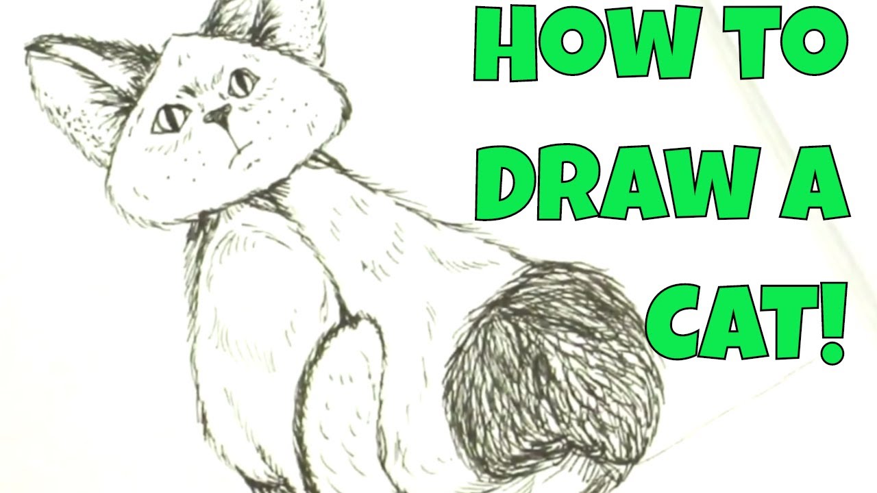 Draw a Cute Cat with a Pen Drawing Lesson Tutorial from the Sketchbook ...