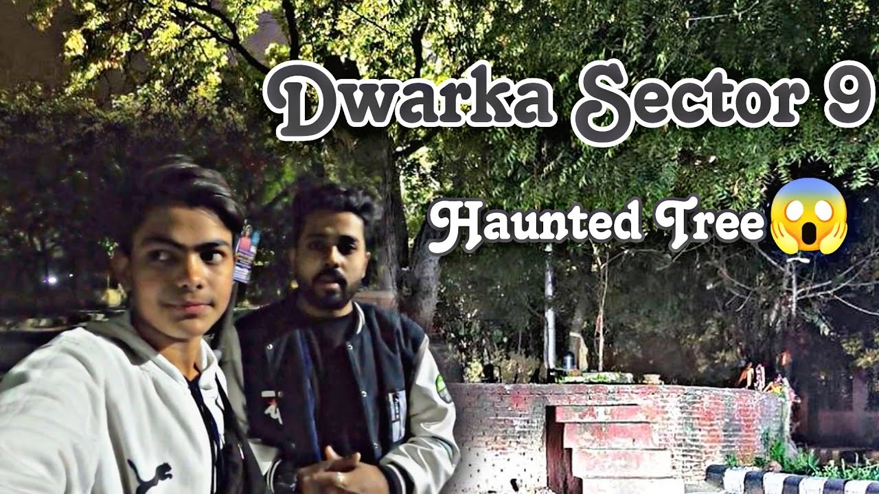 Dwarka Sector 9 Haunted Tree Night Investigation | Horror Vlog | Real ...