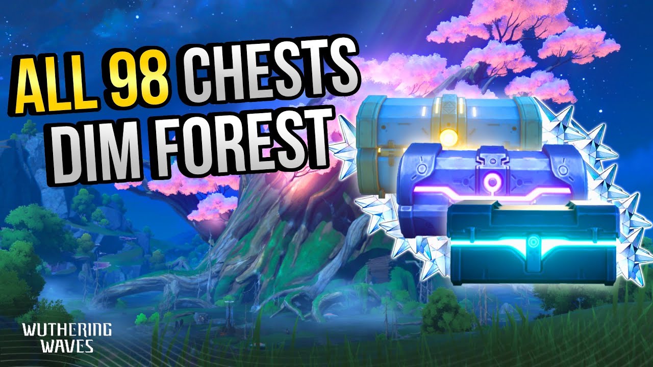 ALL Chest Locations In Dim Forest | In Depth Follow-Along |【Wuthering ...