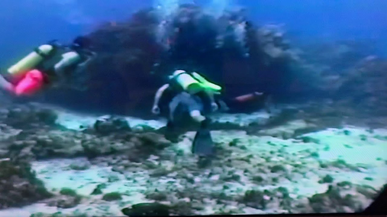 Ricky Masterson Diving Cozumel Mexico - YouTube