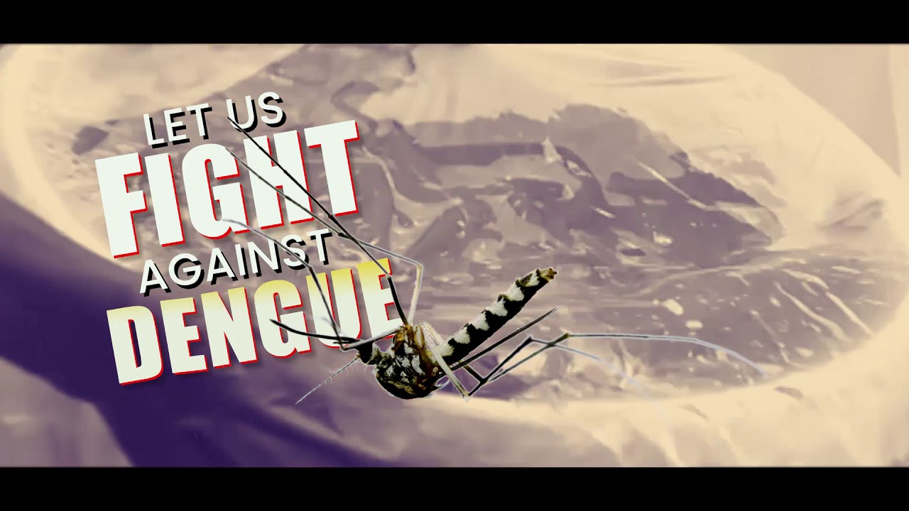 National Dengue Clean Up 2020 - YouTube