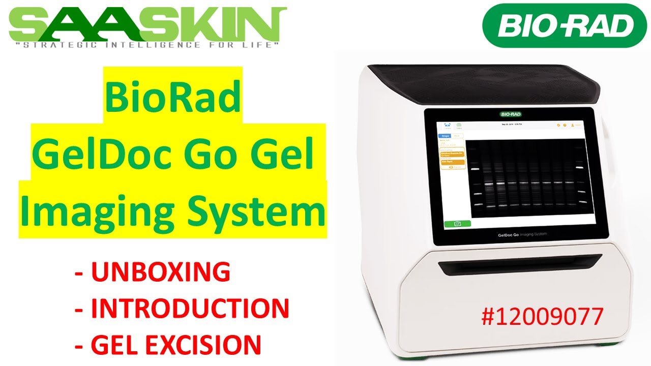 BioRad GelDoc Go Gel Imaging System | UNBOXING | INTRODUCTION | GEL ...