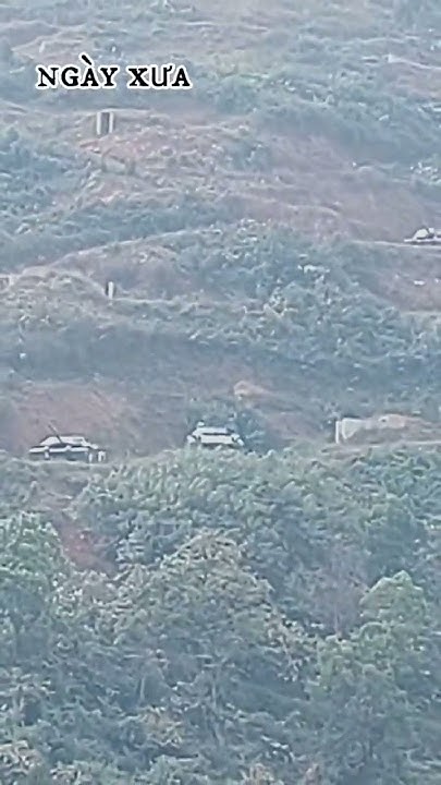 29 tháng 12, 2024 - YouTube