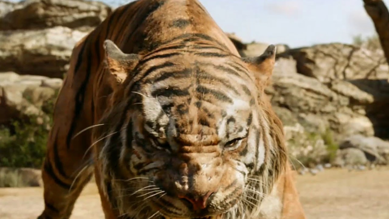 Shere Khan(JB 2016) vs Mufasa(LK 2019)! Who wins? Enjoy! - YouTube