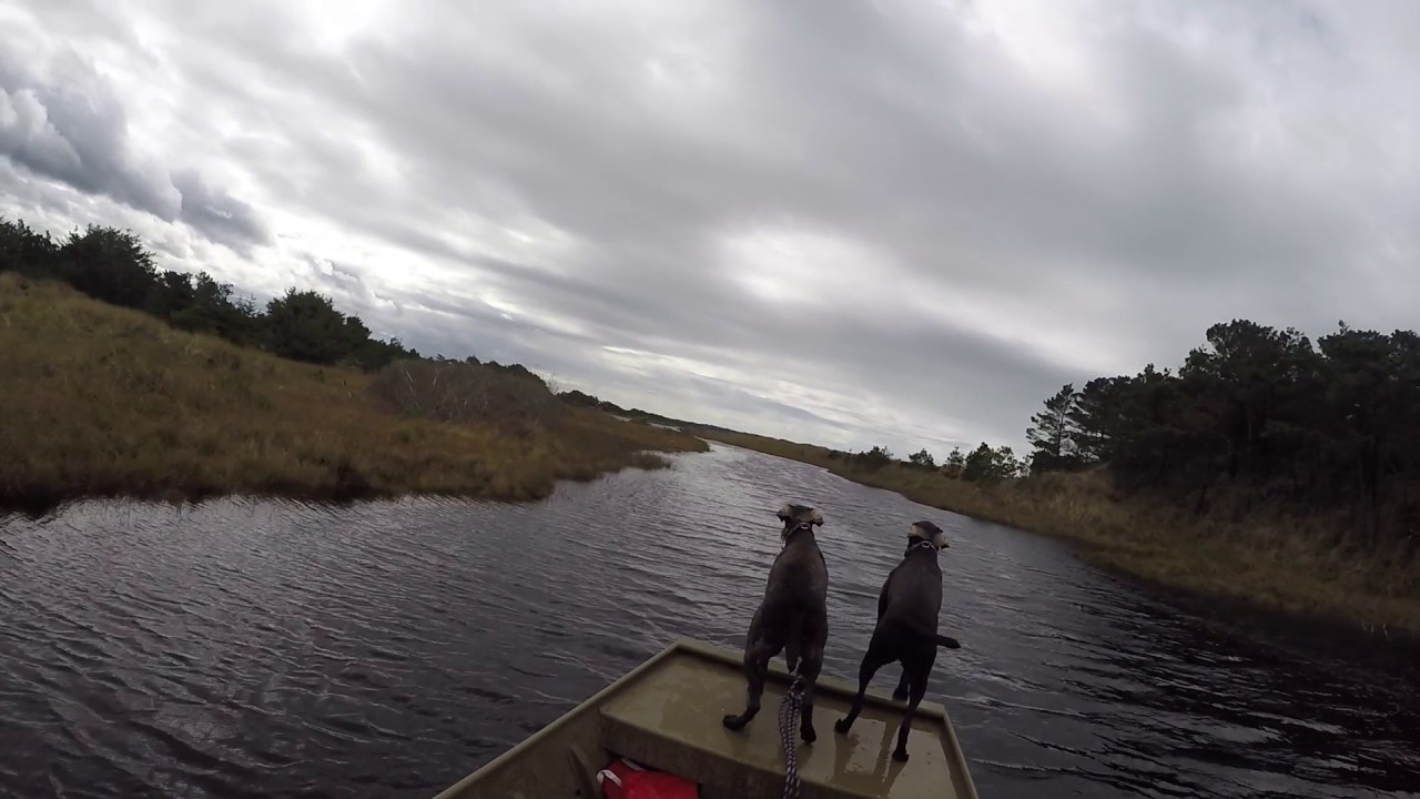 Beavertail Long Tail motor 23HP - YouTube