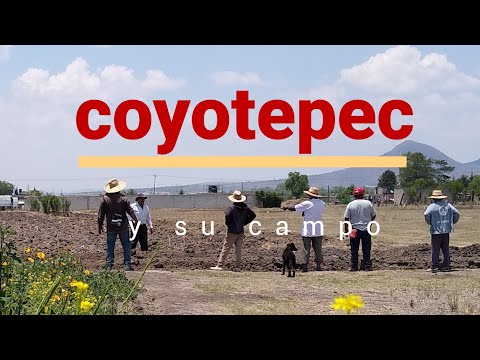 Coyotepec y su campo - YouTube