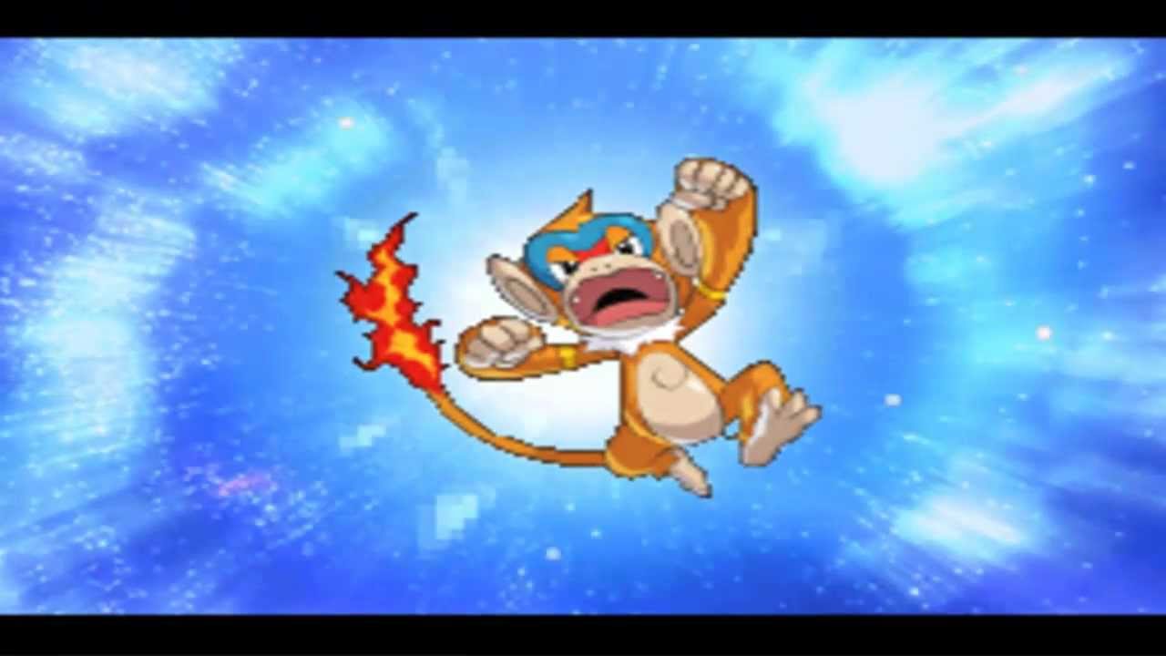 Pokemon Conquest English: Chimchar Evolve! - YouTube