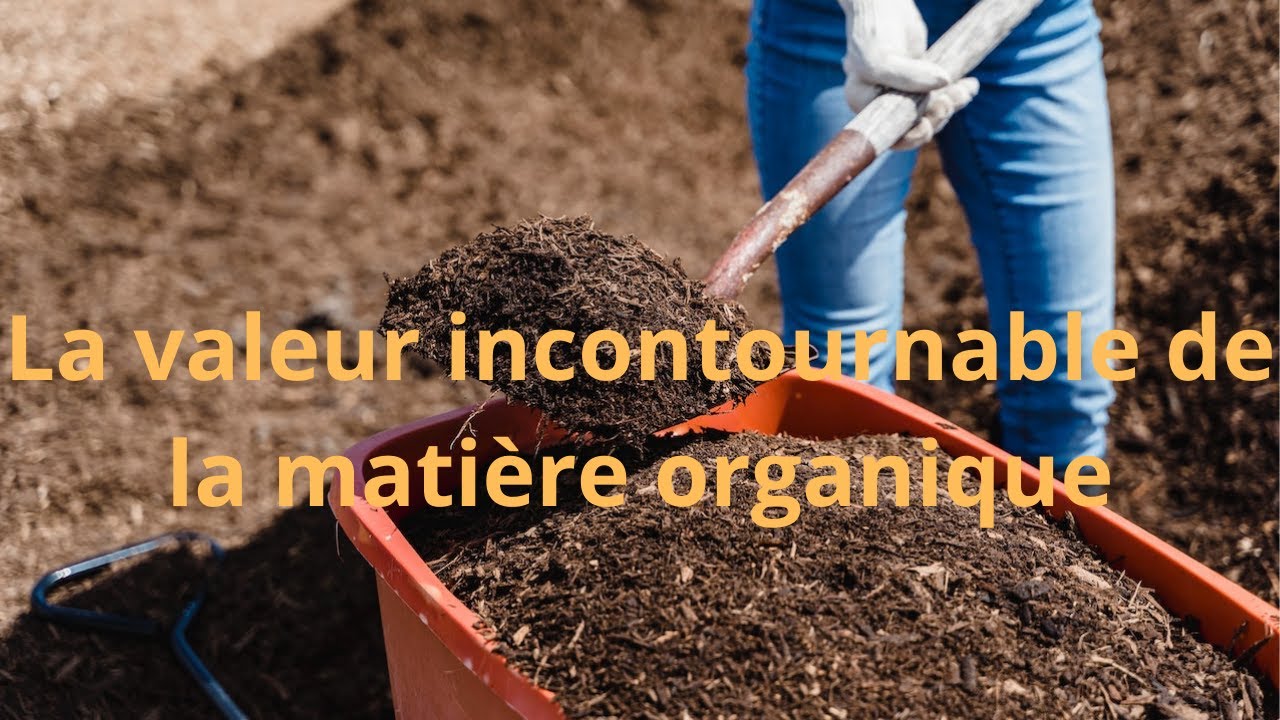 8 rôles essentiels de la matière organique à savoir pour réussir en ...