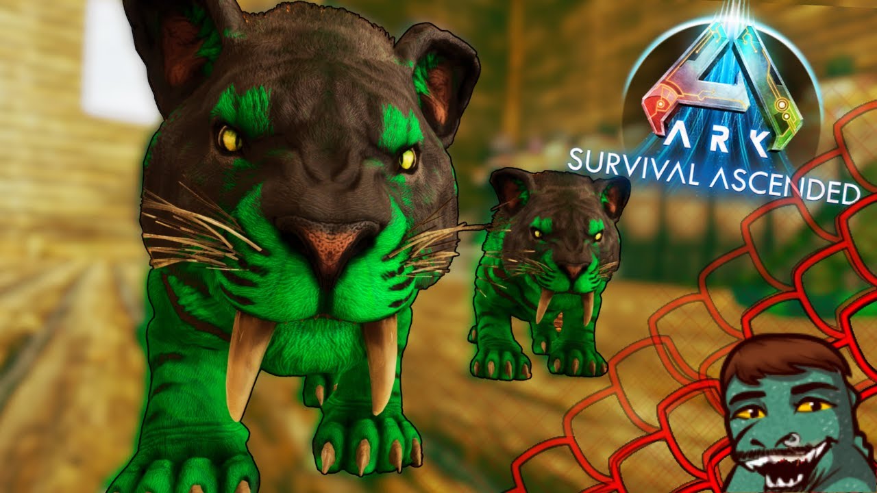 Sabertooth Taming And Breeding! | ARK: Survival Ascended [The Island EP ...
