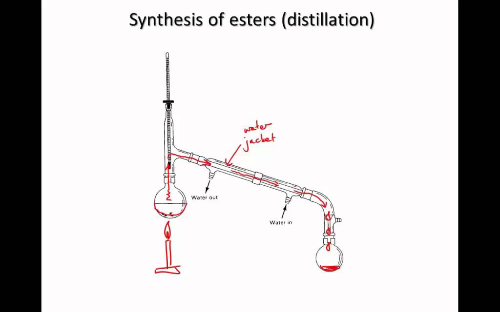 4 3 16 synthesis of esters - YouTube