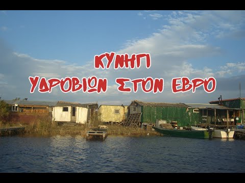 ΚΥΝΗΓΙ ΥΔΡΟΒΙΩΝ ΣΤΟΝ ΕΒΡΟ ΓΚΙΑΟΥΡ ΑΝΤΑ - YouTube
