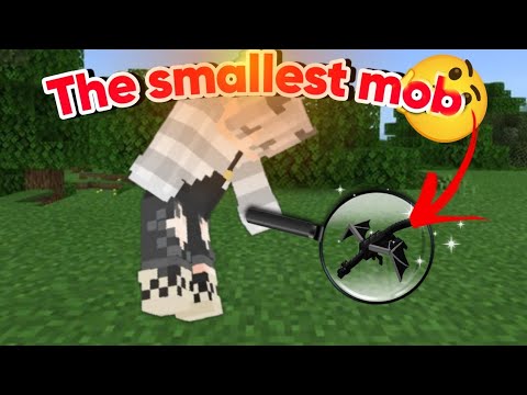 "Minecraft’s Smallest Mobs! 🧐 You Won’t Believe #1! 🤯" - YouTube