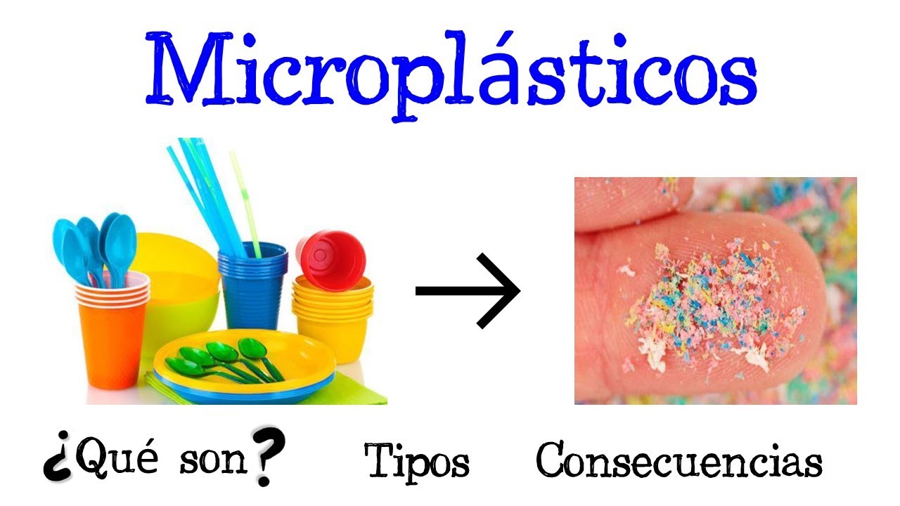 🌐 ¿Qué son los Microplásticos? 🌐 Tipos y Consecuencias [Fácil y Rápido ...
