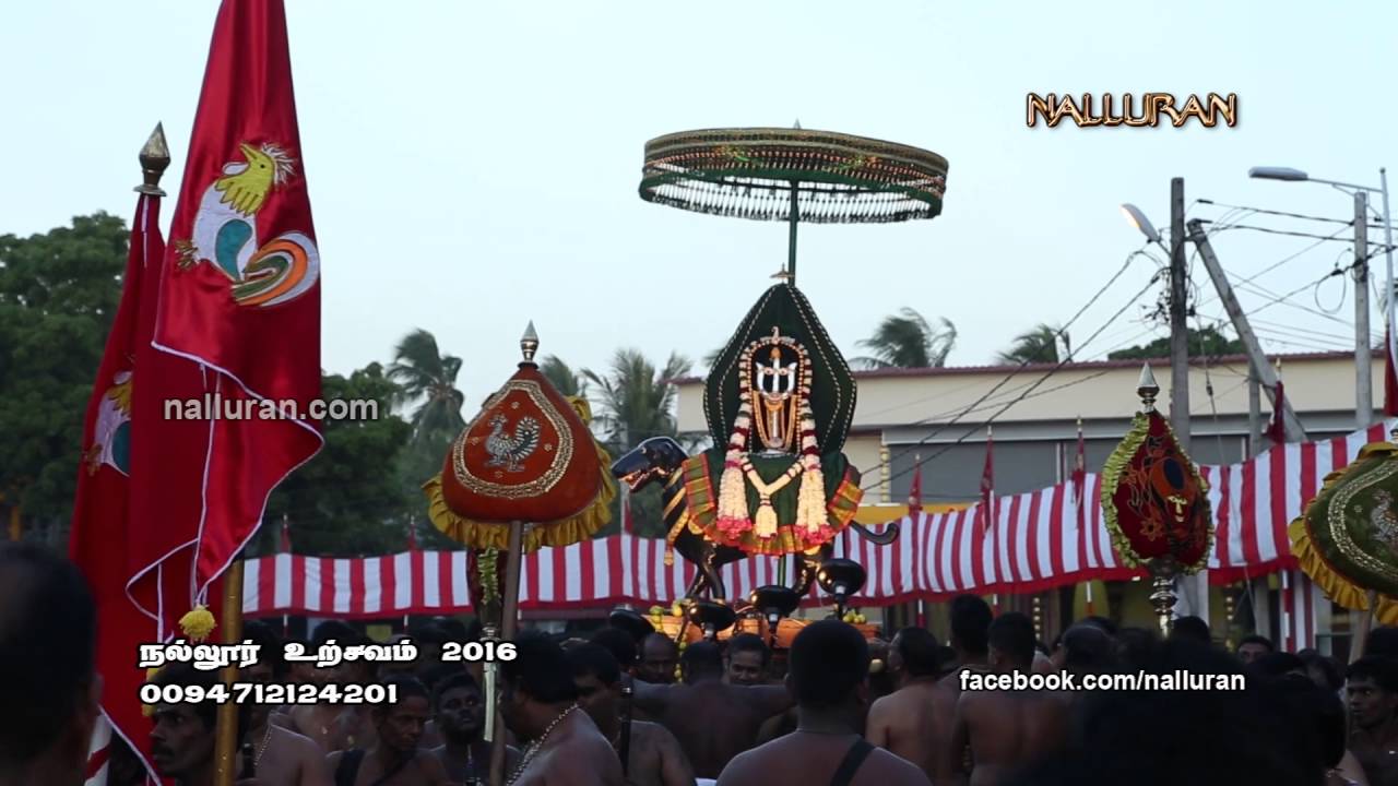 Nallur Kandaswamy Temple viravar festival 2016 HD - YouTube