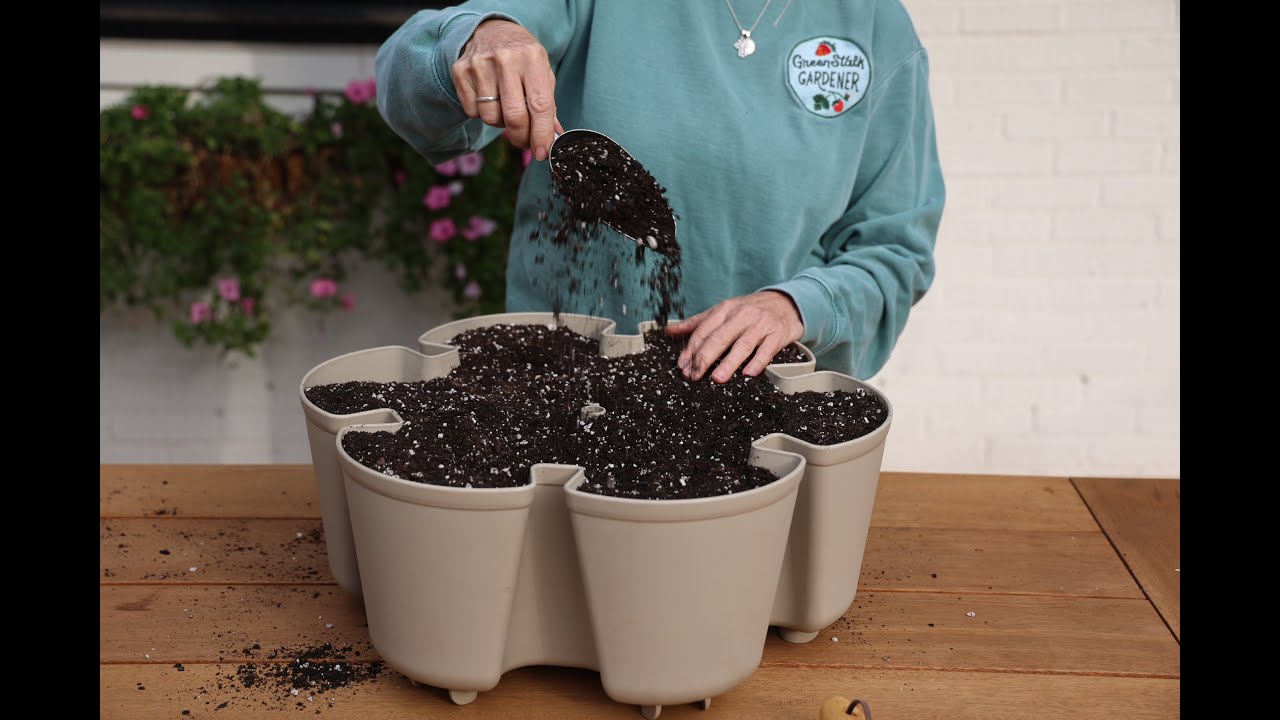 How to Amend Potting Mix | GreenStalk Gardening - YouTube