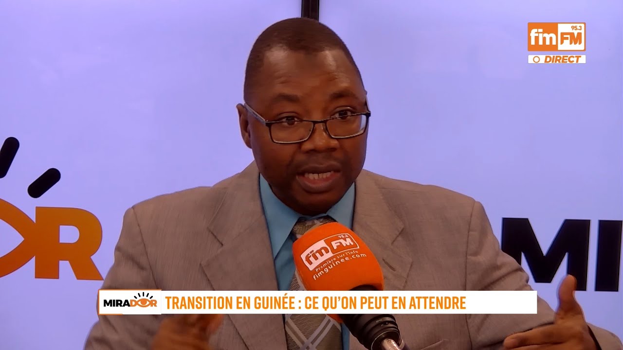 Transition en Guinée : ce qu’on peut en attendre Extrait du Passage de ...