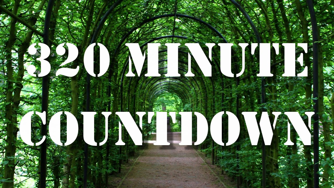320 minute timer countdown with alarm sound effect - YouTube