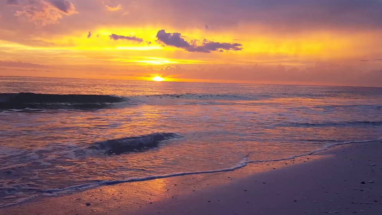 Music and relax and meditation! Charming music on a charming evening ...