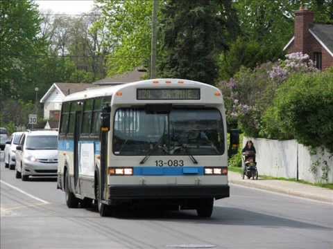 MontreaL STM Classics Bus Love In Photos - YouTube