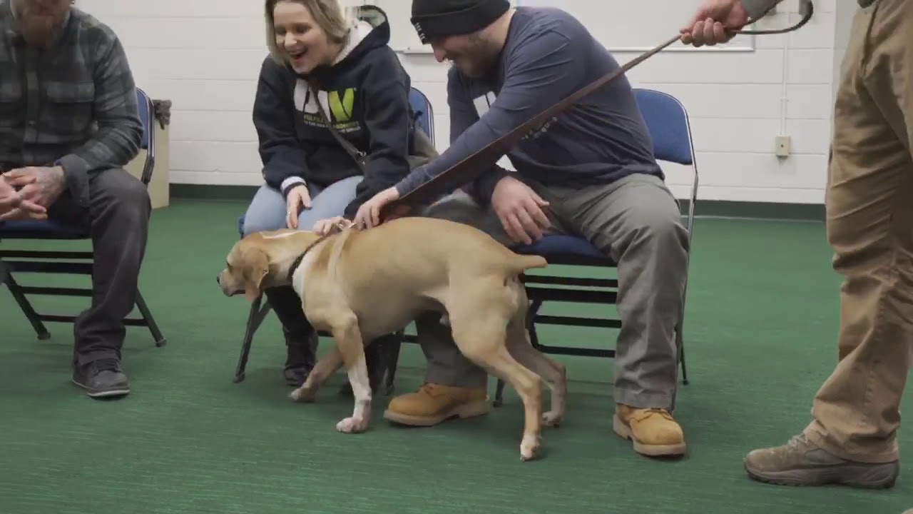 Country Artist Brantley Gilbert Helps Give Dogs To Veterans | Custom ...