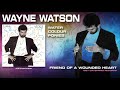 Wayne Watson – Watercolour Ponies (1987, Vinyl) - Discogs
