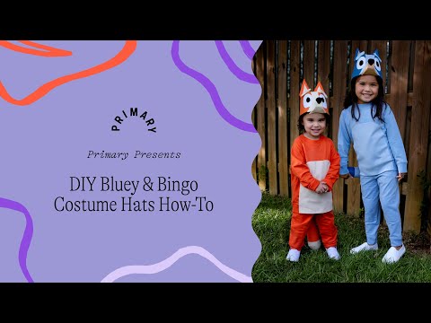 How to DIY the Perfect Bluey & Bingo Costumes - YouTube