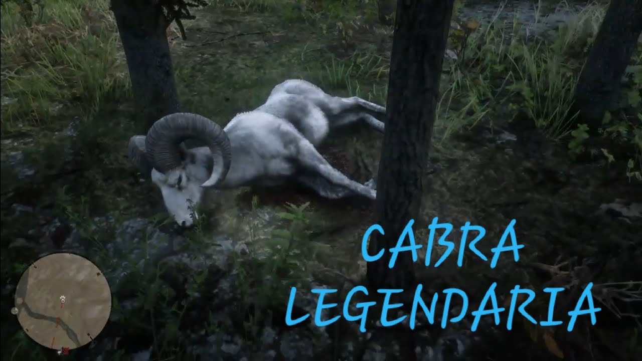 CABRA LEGENDARIA RED DEAD REDEMPTION 2 - YouTube