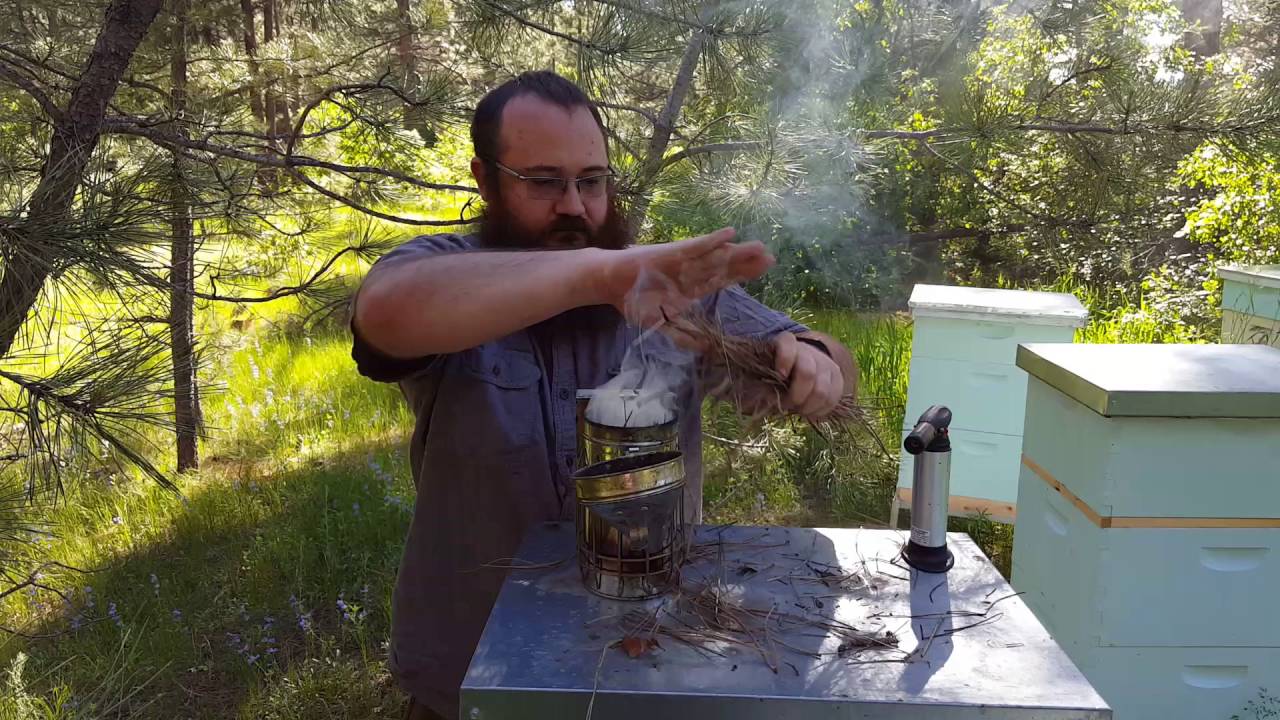 Using pine needles in a smoker - YouTube
