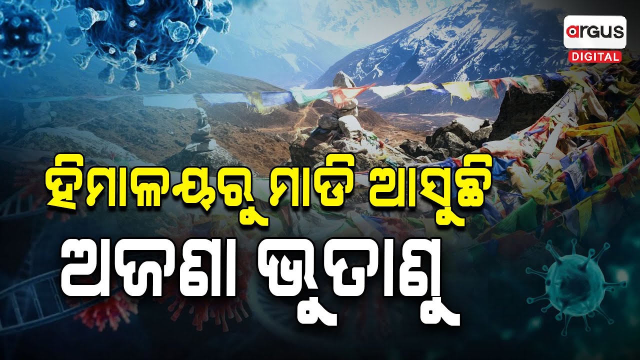 1,700 New Ancient Viruses Found in Melting Himalayan Permafrost ...