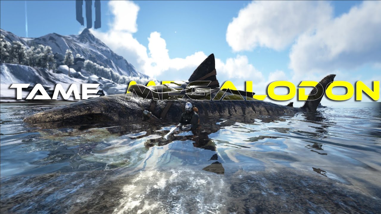 Tame Megalodon and Ichthyosaurs Ark survival evolved Ep-18 - YouTube