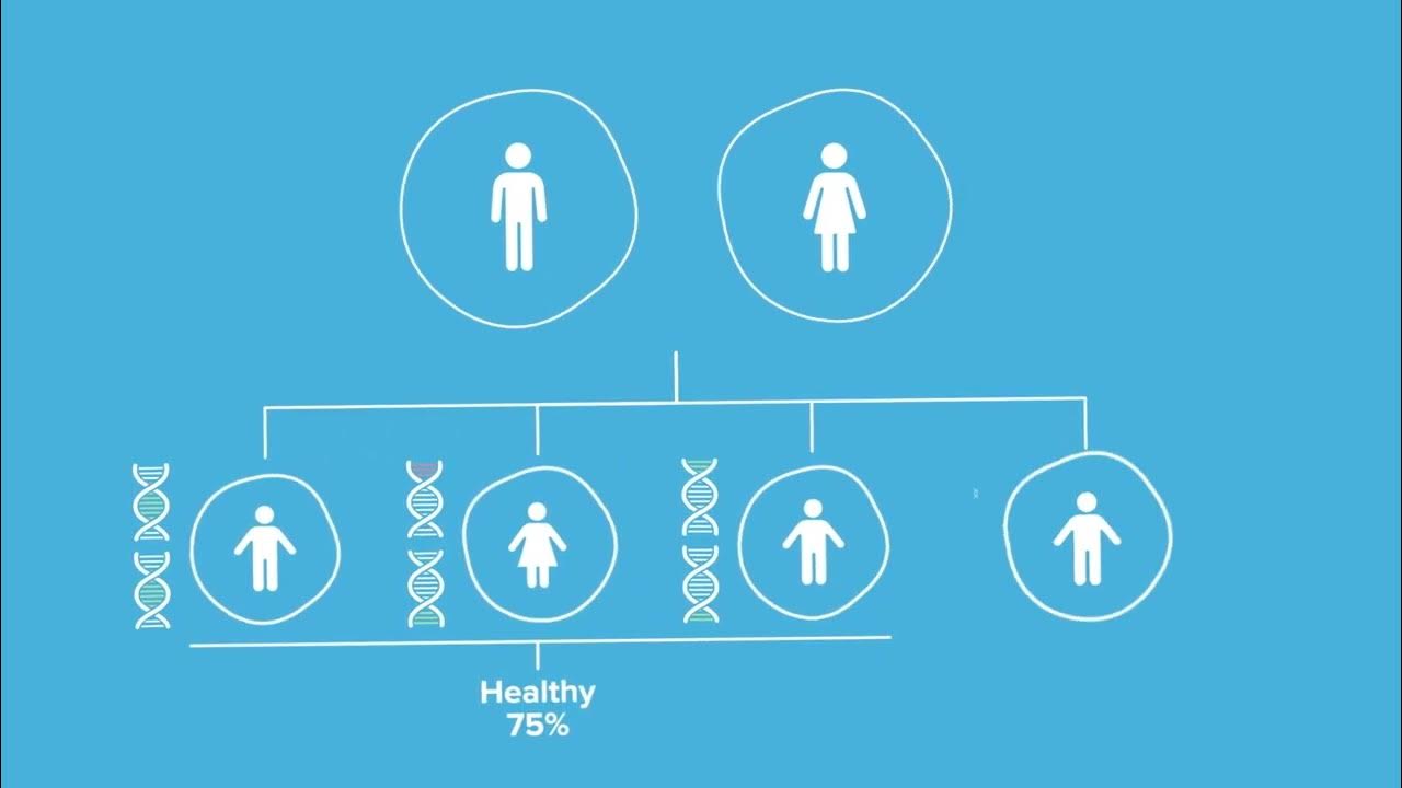 Recessive inheritance explained - Cryos International - YouTube