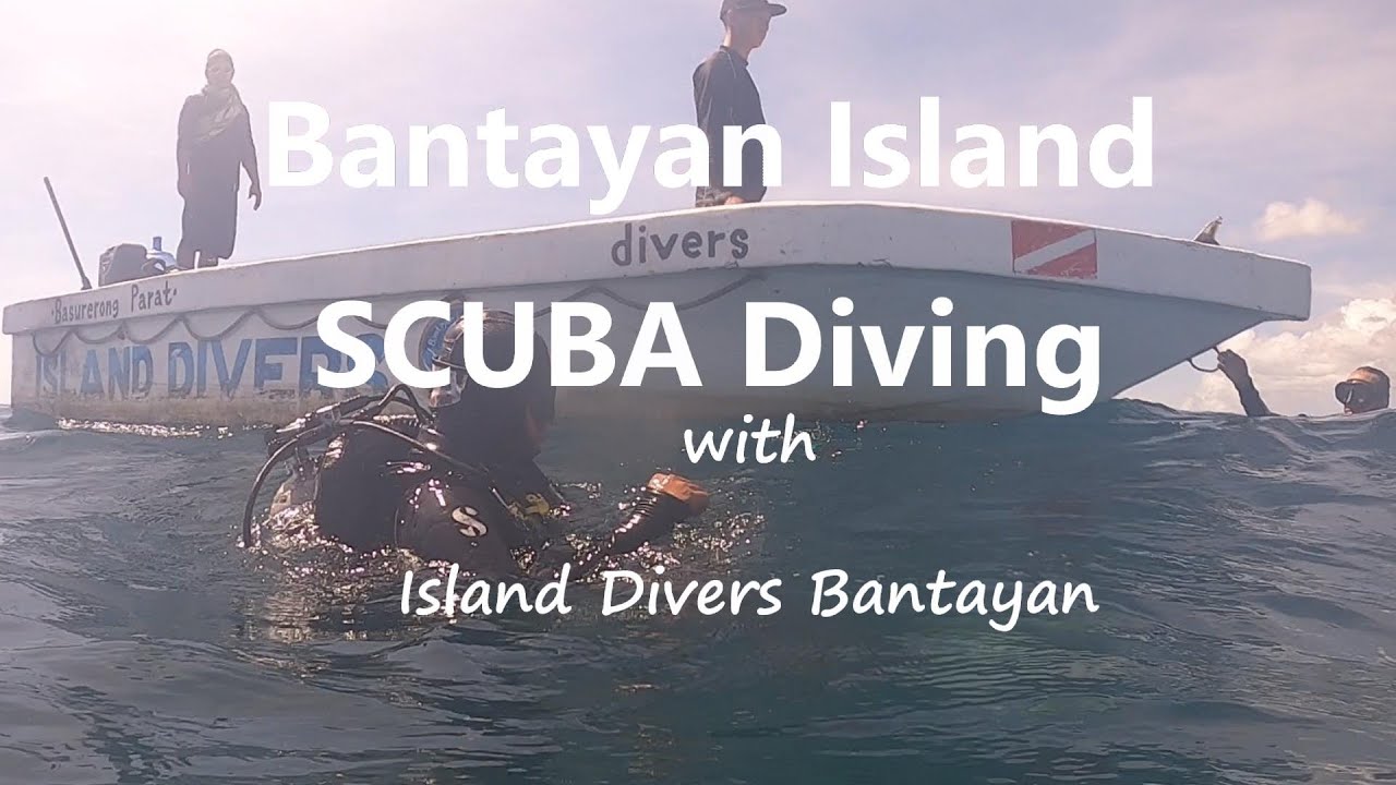 Bantayan Island Scuba Diving (Cebu, Philippines) - YouTube