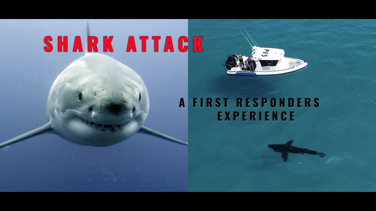 ESPERANCE SHARK FATALITY: As Witnessed by a First Responder - YouTube