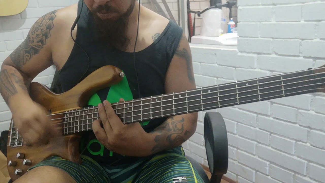 PRIMUS - Del Davis tree farm -BassCover 5 string - YouTube