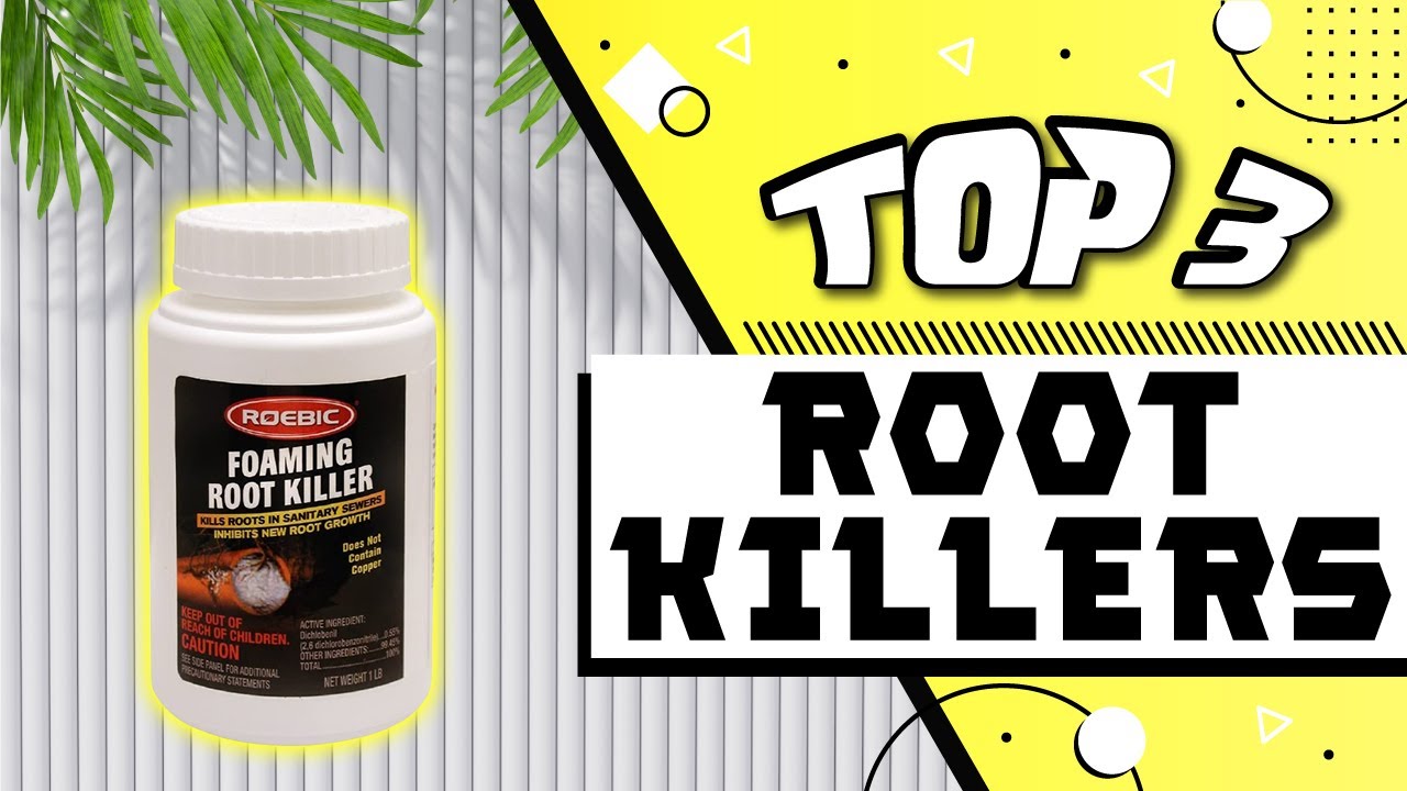 Best Root Killer For Sewer Lines Reviewed YouTube