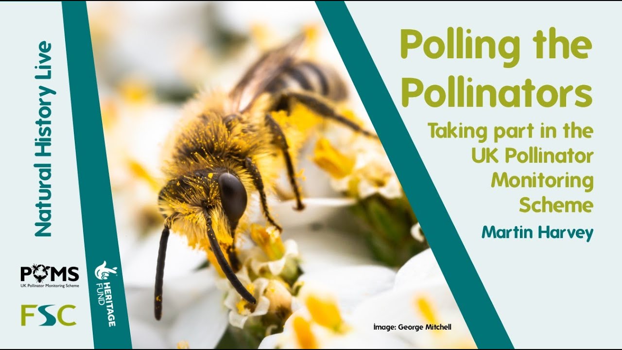 Polling the Pollinators: Taking part in the UK Pollinator Monitoring ...