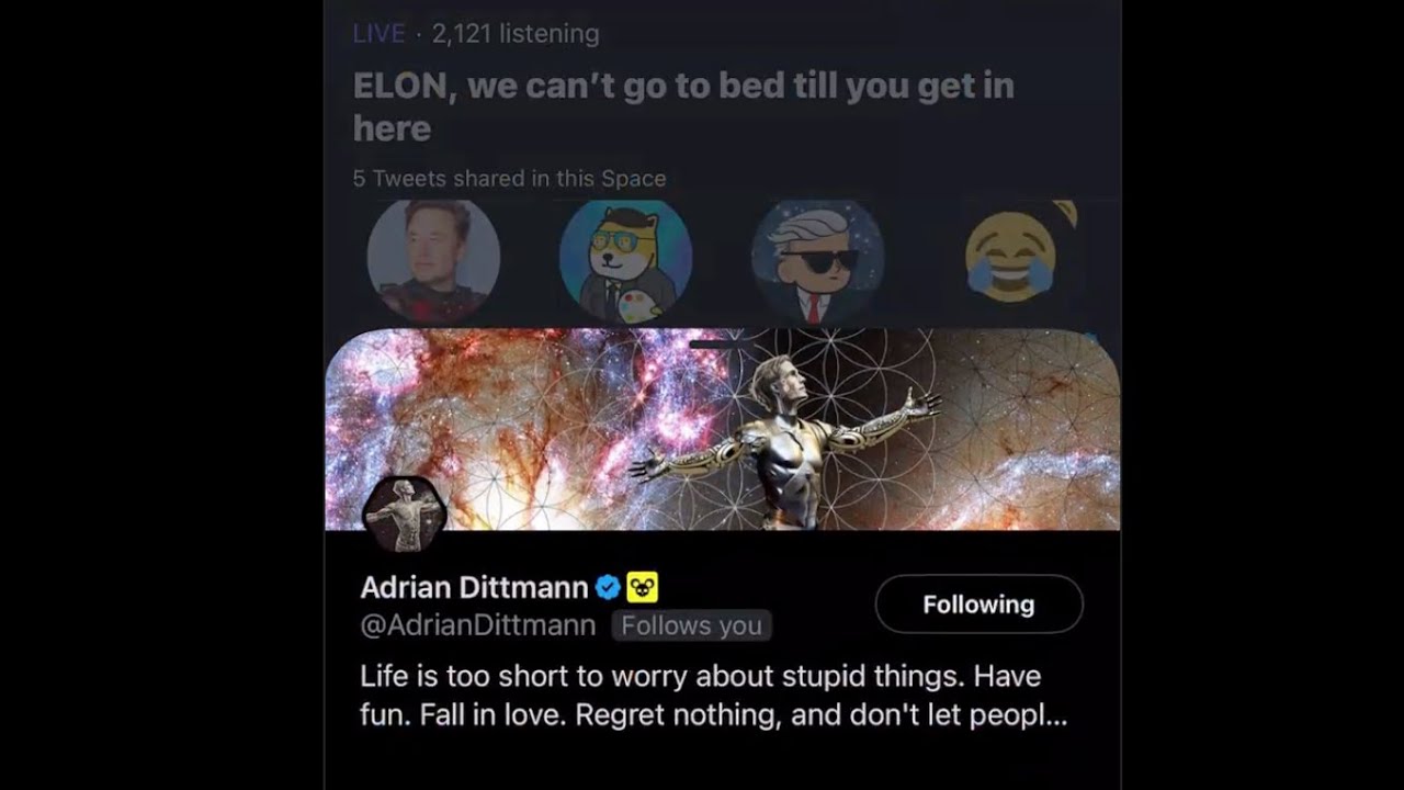 Elon Musk meets his sound-alike, Adrian Dittmann, in July 28, 2023 X ...