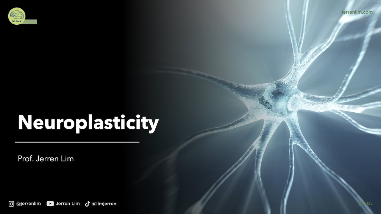 Lecture 3: Synaptic Plasticity - YouTube
